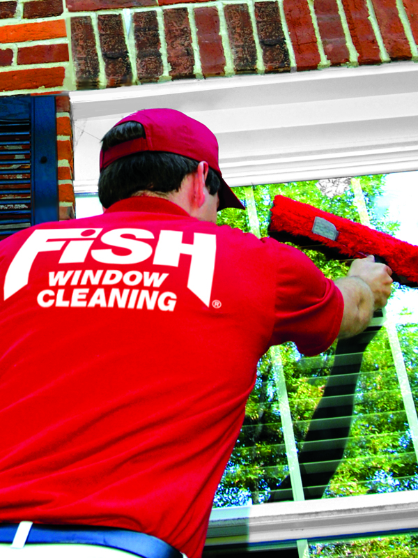 Why Choose FISH? - Fish Window Cleaning