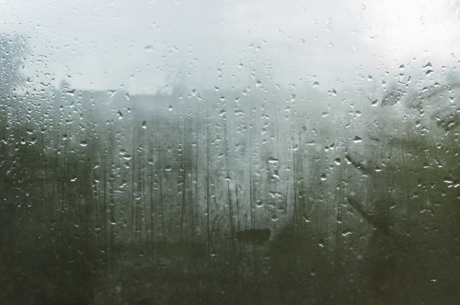 Removing Water Spots on Windows: How to Fix & Prevent - Fish Window ...