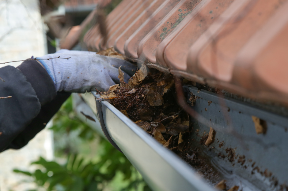 When Is the Best Time to Clean Gutters - Fall or Spring? - Fish Window ...